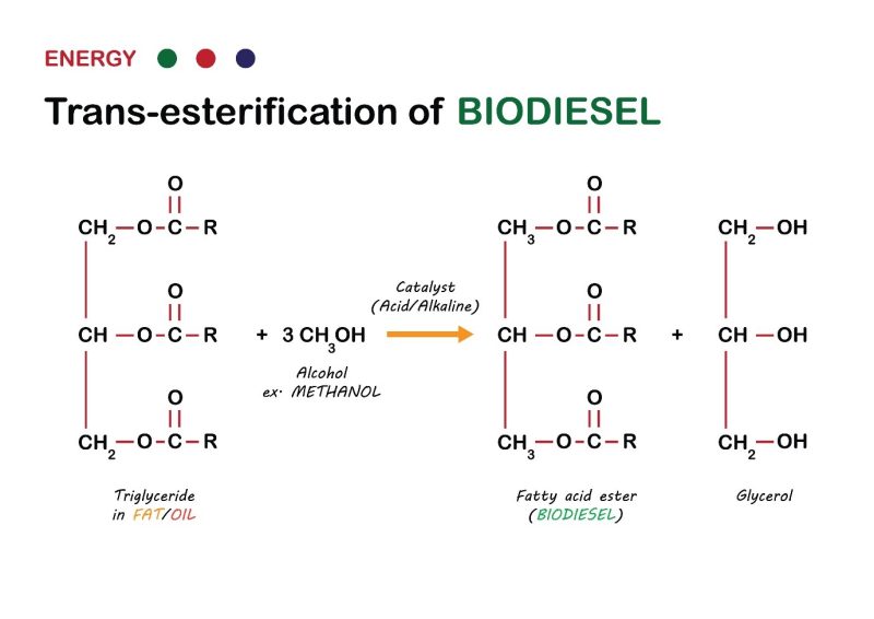 What is it – Transesterification - Mansfield Energy
